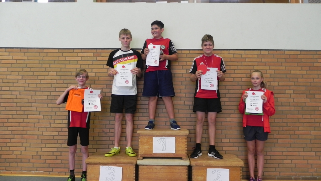 Tischtennis: Lukas Rösch ist neuer Vereinsmeister: MTV "Fichte" Winsen ...